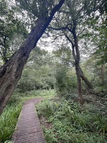Best Hikes and Trails in Howe Wood Park | AllTrails