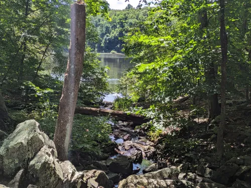 Best Hikes and Trails in Lime Rock Nature Preserve | AllTrails