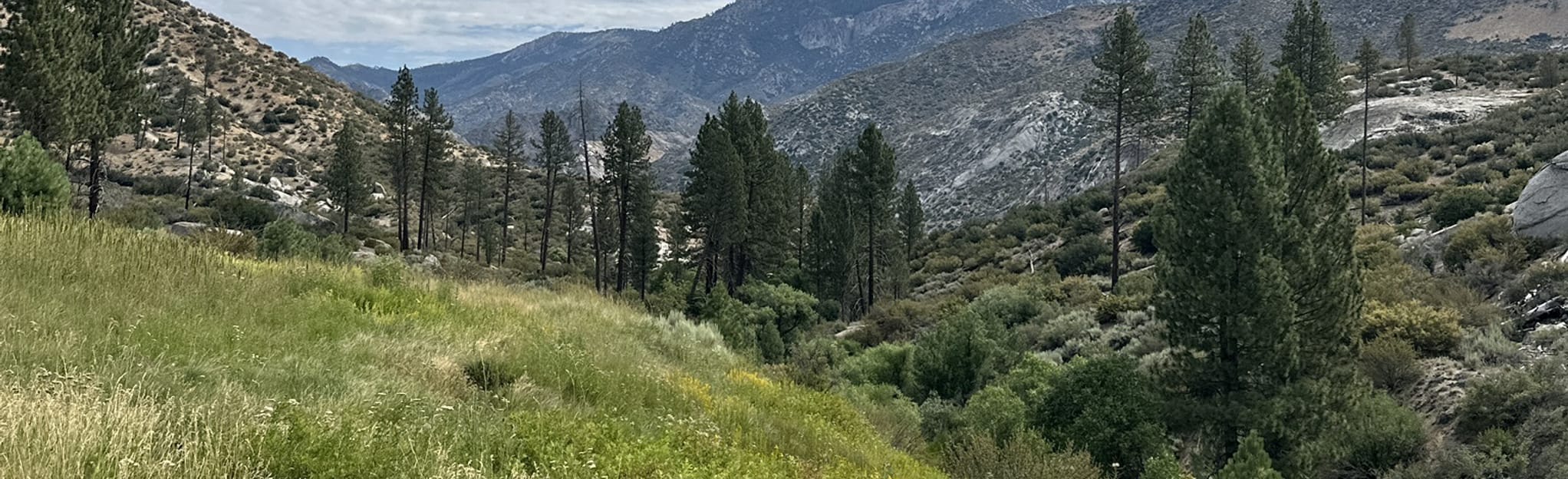 AllTrails | Seven Tea Cups (7TC) via Dry Creek Meadow: 183 Reviews, Map ...