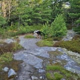 Monument Hill Trail, Maine - 190 Reviews, Map | AllTrails
