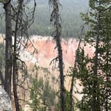 Artist Point, Montana - 736 Reviews, Map | AllTrails