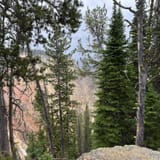 Artist Point, Montana - 736 Reviews, Map | AllTrails