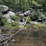Cedar Run Falls Trail, Virginia - 669 Reviews, Map | AllTrails