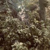 Lockegee Rock, Kentucky - 199 Reviews, Map | AllTrails