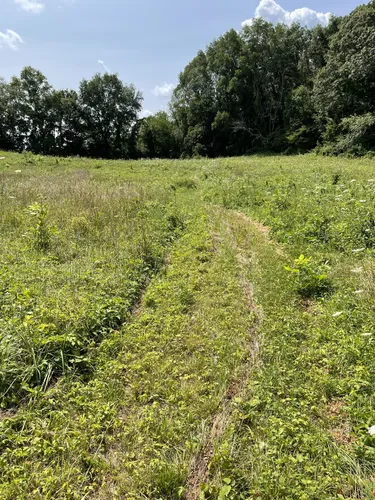 Best Hikes and Trails in Preston Nature Preserve | AllTrails