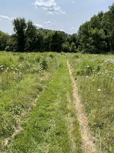 Best Hikes and Trails in Preston Nature Preserve | AllTrails