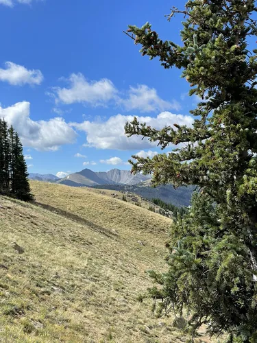 10 Best Hikes and Trails in San Isabel National Forest | AllTrails