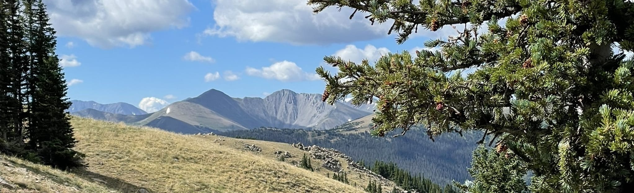 Mount Yale via Browns Pass and Mount Yale Trail, Colorado - 2,347 ...