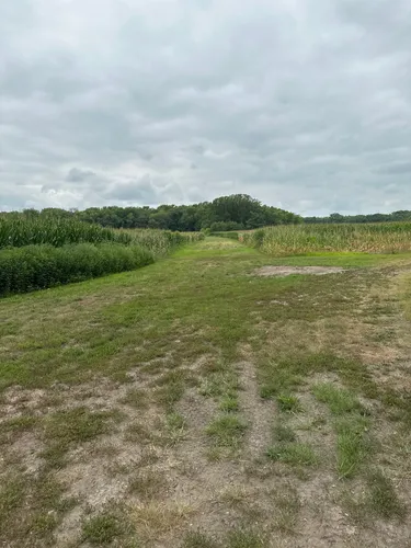 Best Hikes and Trails in Lone Tree | AllTrails