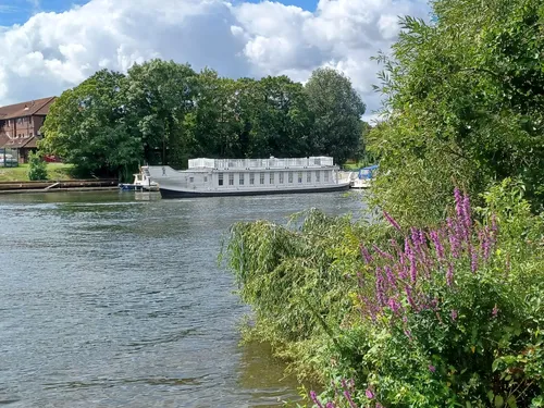 2023 Best Lake Trails in Shepperton | AllTrails