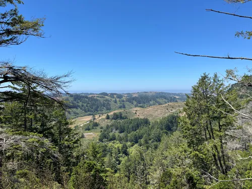 10 Best Hikes and Trails in Butano State Park | AllTrails