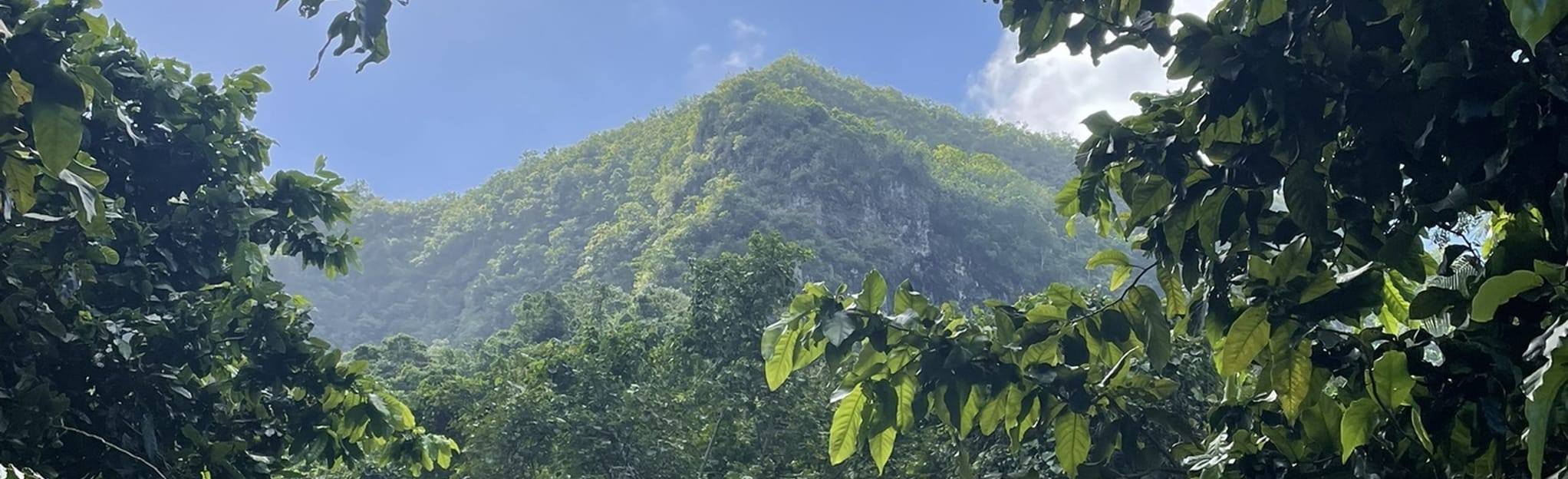 Afareaitu Waterfalls, Moorea, French Polynesia - 154 Reviews, Map ...