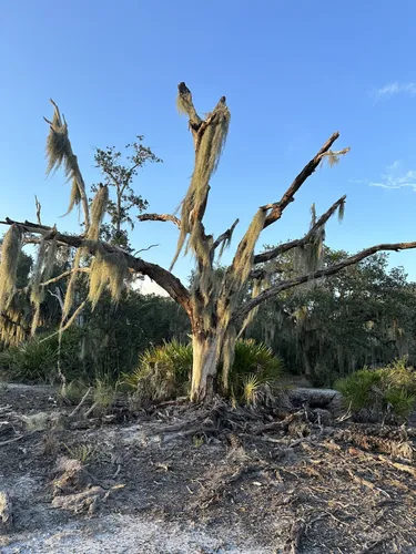 Best Hikes and Trails in Crooked Lake Prairie Preserve | AllTrails
