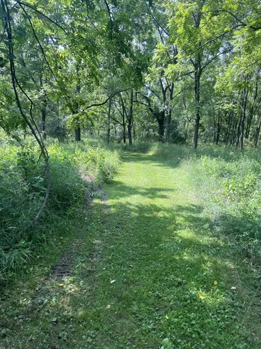 2023 Best Forest Trails in New London | AllTrails