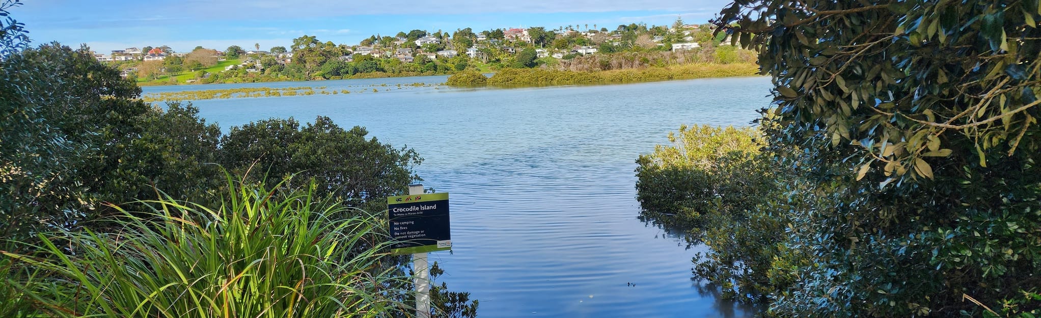 Orewa Loop Walk, Auckland, New Zealand - 31 Reviews, Map | AllTrails