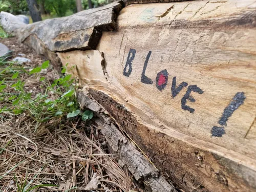 Best Hikes and Trails in Two Rivers Park | AllTrails