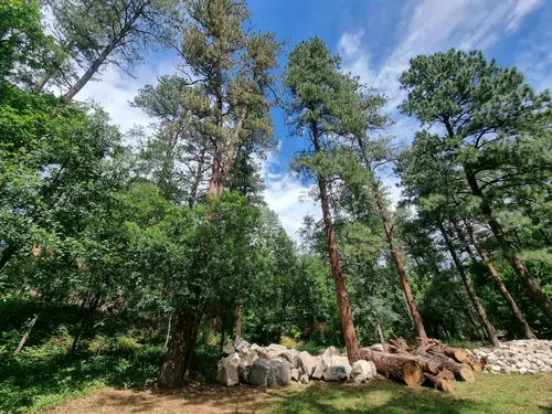 Best Hikes and Trails in Two Rivers Park | AllTrails