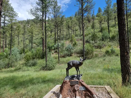 Best Hikes and Trails in Two Rivers Park | AllTrails