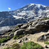 Muir Snowfield Ski Tour, Washington - 1,288 Reviews, Map | AllTrails