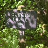 Queets River Trail, Washington - 33 Reviews, Map | AllTrails
