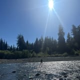 Queets River Trail, Washington - 33 Reviews, Map | AllTrails