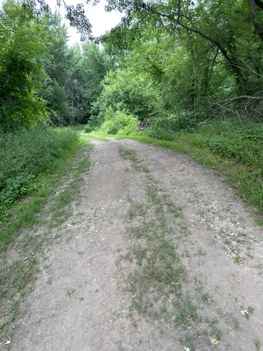 Best Hikes and Trails in Lone Tree | AllTrails