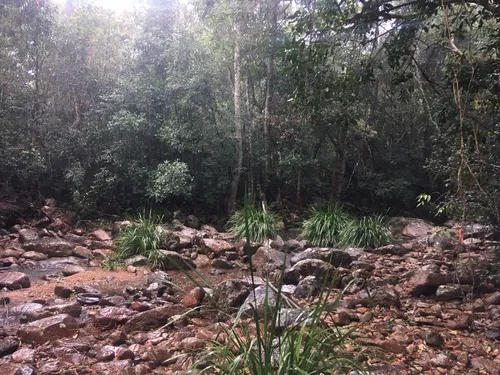 2023 Best Camping Trails in Paluma Range National Park | AllTrails