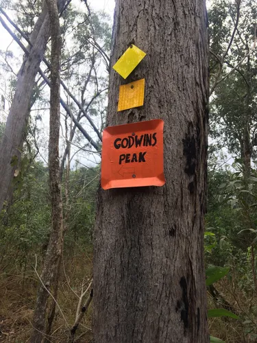 2023 Best Camping Trails in Paluma Range National Park | AllTrails