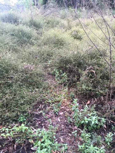 2023 Best Camping Trails in Paluma Range National Park | AllTrails