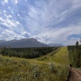 Brule Lake Trail, Alberta, Canada - 16 Reviews, Map | AllTrails