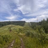Brule Lake Trail, Alberta, Canada - 16 Reviews, Map | AllTrails