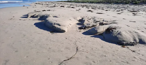 2023 Best Views Trails in Karnup | AllTrails