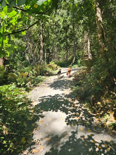 2023 Best Moderate Trails in North Saanich | AllTrails