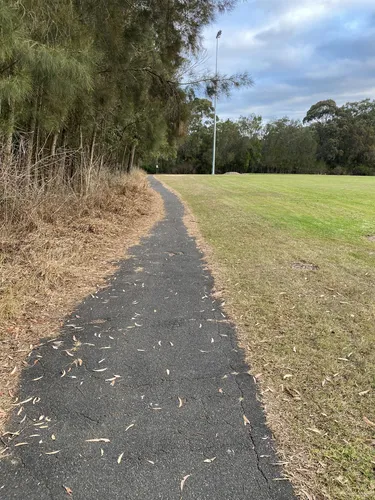 2023 Best Beach Trails in Woolgoolga | AllTrails