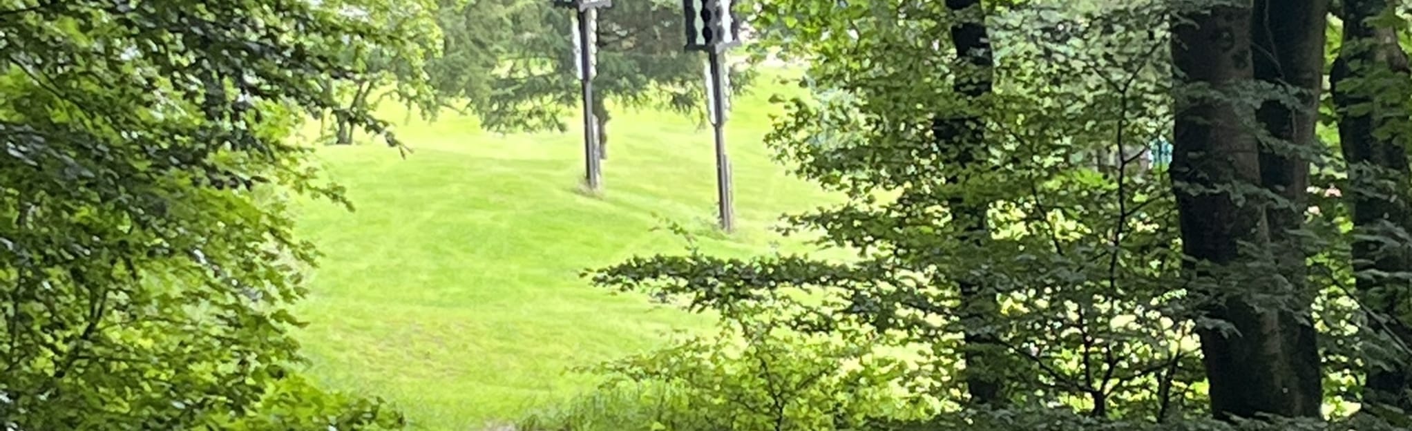 Legind Bjerge Sort MTB, North Denmark, Denmark - Map, Guide | AllTrails