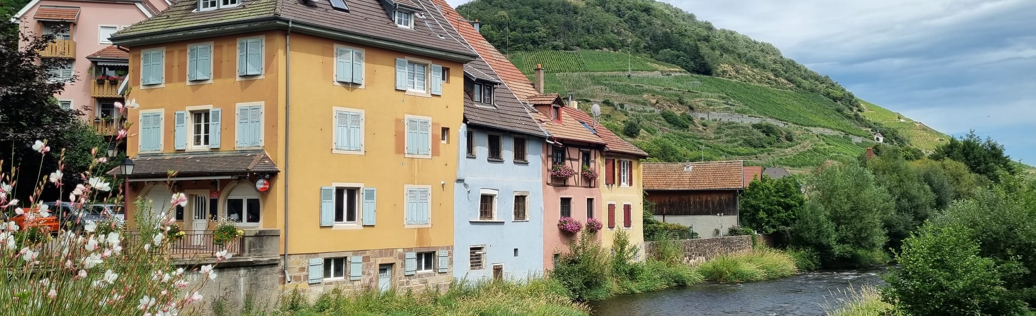 Roller coaster of Willer-sur-Thur, Haut-Rhin, France - 2 Reviews, Map ...