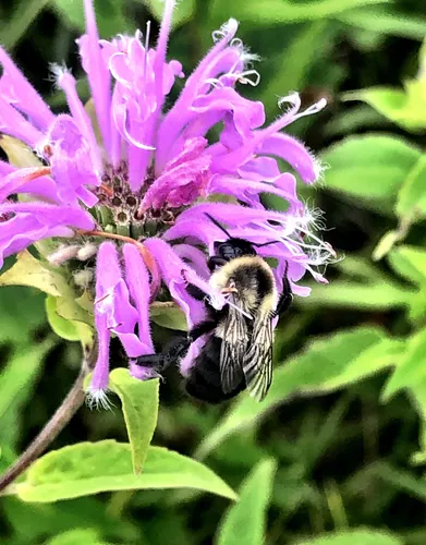 Best Hikes and Trails in Grobschmidt Park | AllTrails