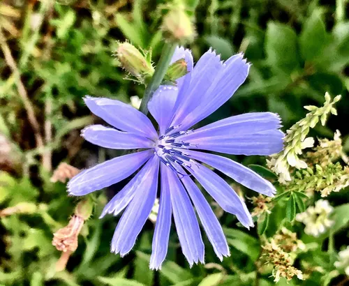 Best Hikes and Trails in Grobschmidt Park | AllTrails