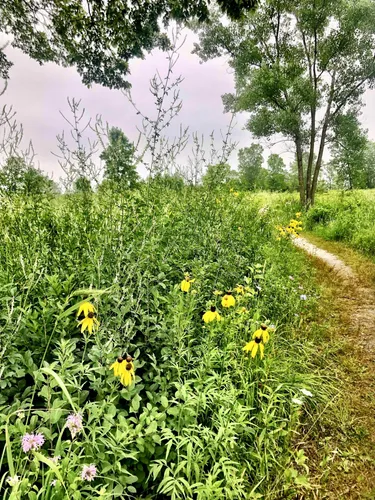 Best Hikes and Trails in Grobschmidt Park | AllTrails