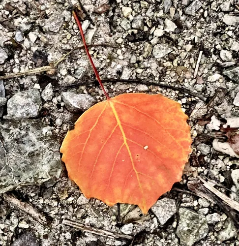 Best Hikes and Trails in Grobschmidt Park | AllTrails