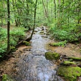 Upper Chattahoochee Campground to Horse Trough Falls, Georgia - 114 ...