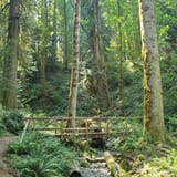Maple Valley Loop, Washington - 230 Reviews, Map | AllTrails