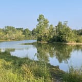 Puslinch Lake Loop, Ontario, Canada - 684 Reviews, Map | AllTrails