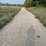 Puslinch Lake Loop, Ontario, Canada - 684 Reviews, Map | AllTrails