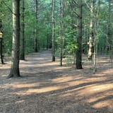 Puslinch Lake Loop, Ontario, Canada - 684 Reviews, Map | AllTrails