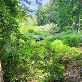 Brecknock County Park Dunbar Trail, Delaware - 277 Reviews, Map | AllTrails