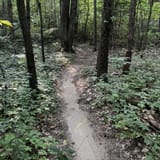 Deep Lake Trail, Michigan - 641 Reviews, Map | AllTrails