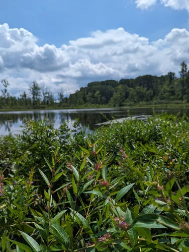 Best Hikes and Trails in Spicer Lake Nature Preserve | AllTrails