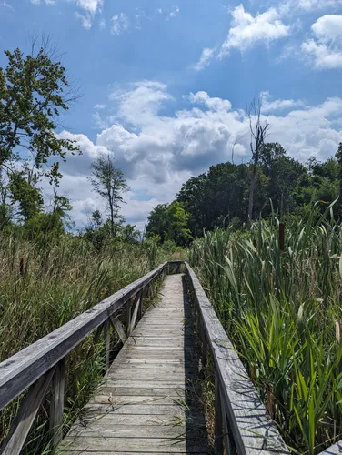 Best Hikes and Trails in Spicer Lake Nature Preserve | AllTrails