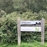 Upton Canyon , Dorset, England - 41 Reviews, Map | AllTrails
